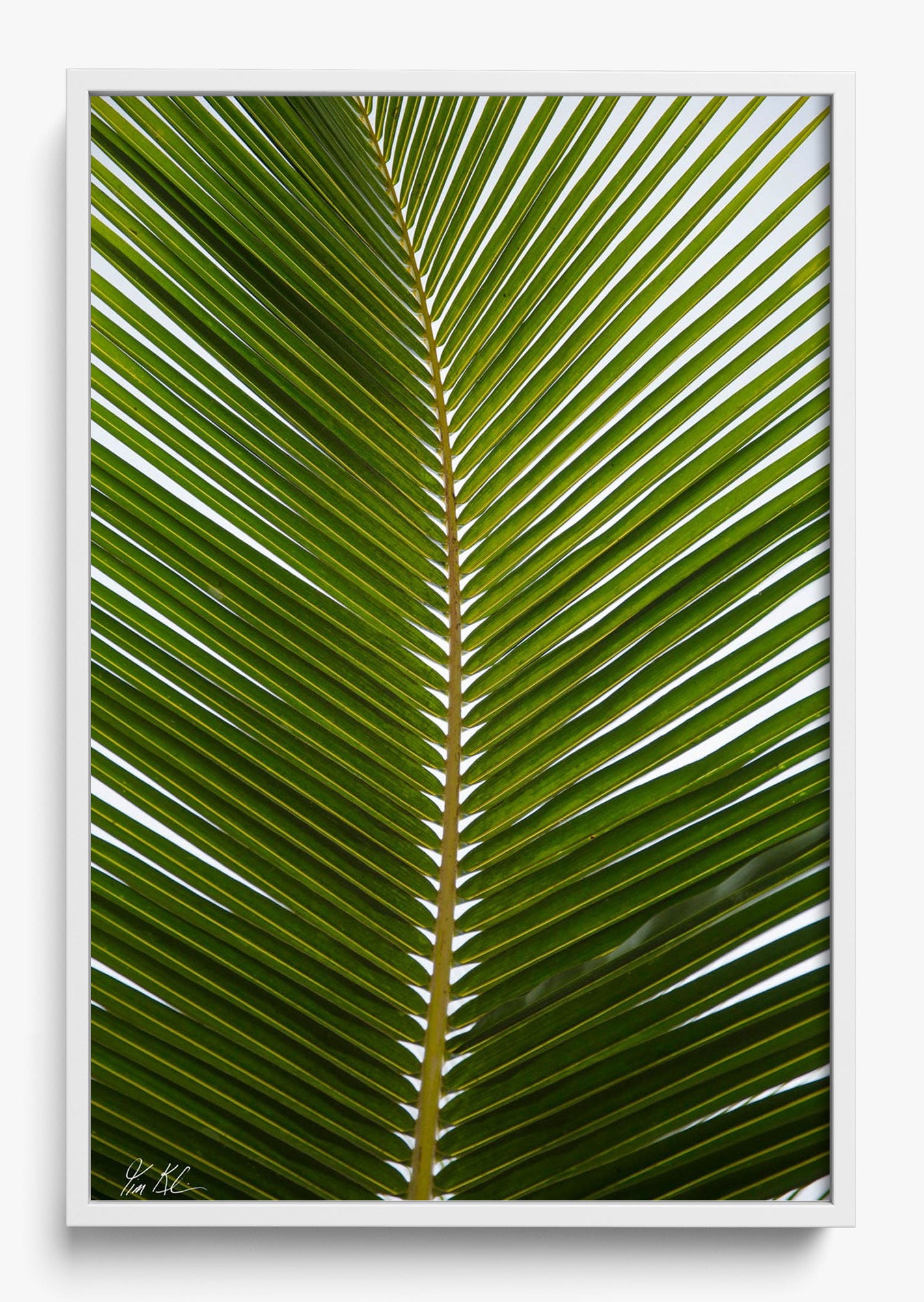 Outstretched – H E L M + O A R