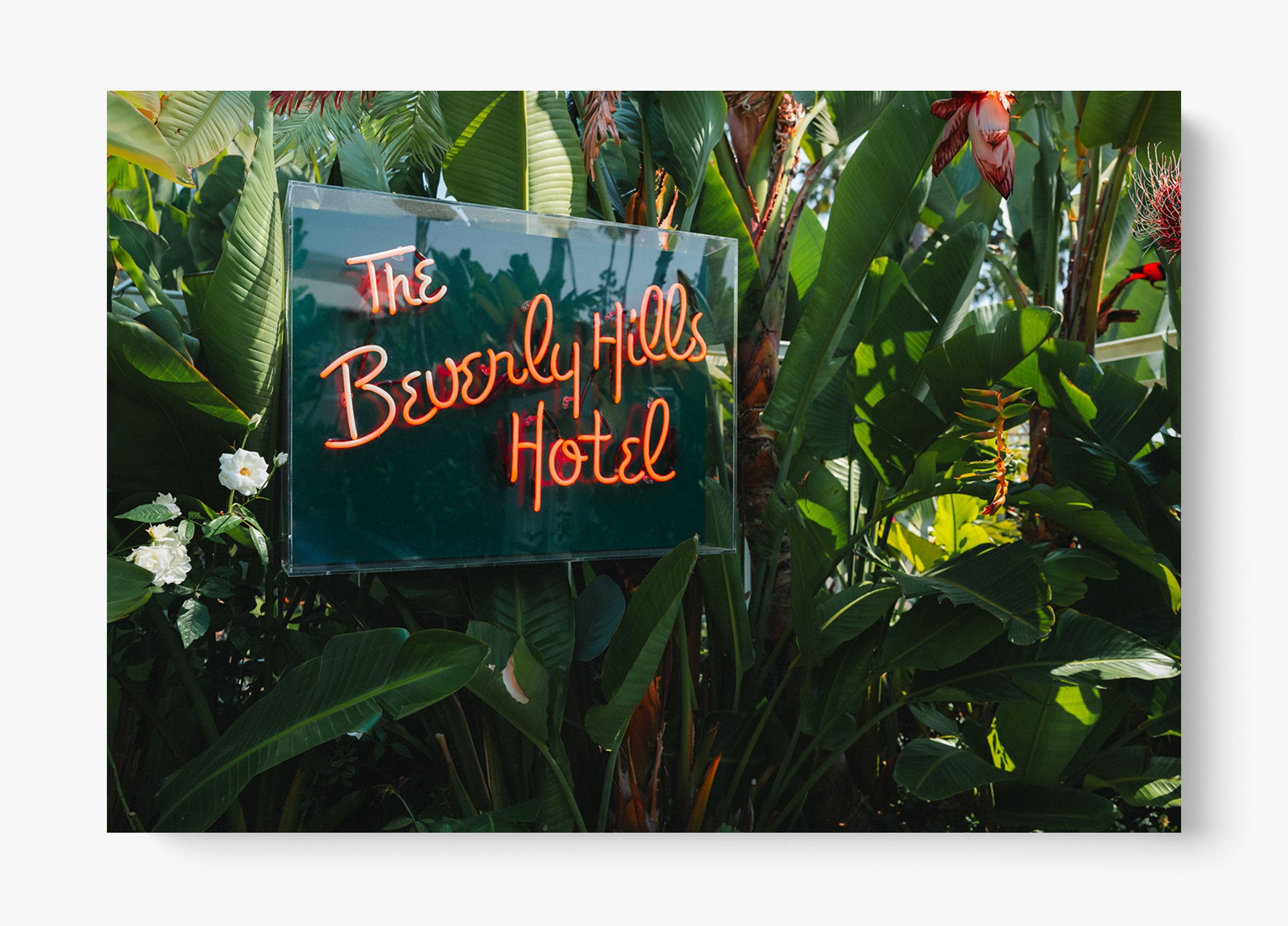 Neon Neon – H E L M + O A R