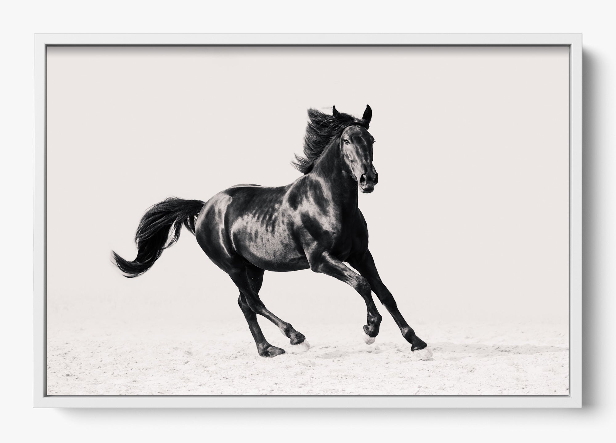 Legacy – H E L M + O A R